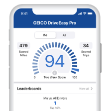 GEICO Drive Easy Pro