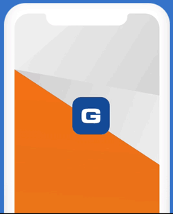 GEICO's Mobile App